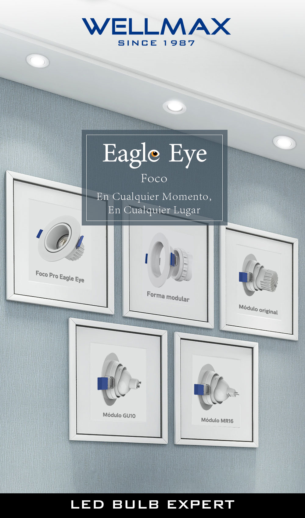 Foco Eagle Eye: ¡Cambia de módulo fácilmente!礪 - Wellmax Lighting